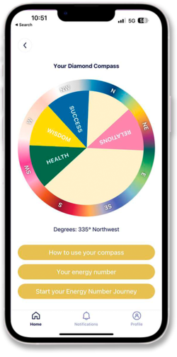 Marie Diamond - Feng Shui - Der Praxiskurs: Younity