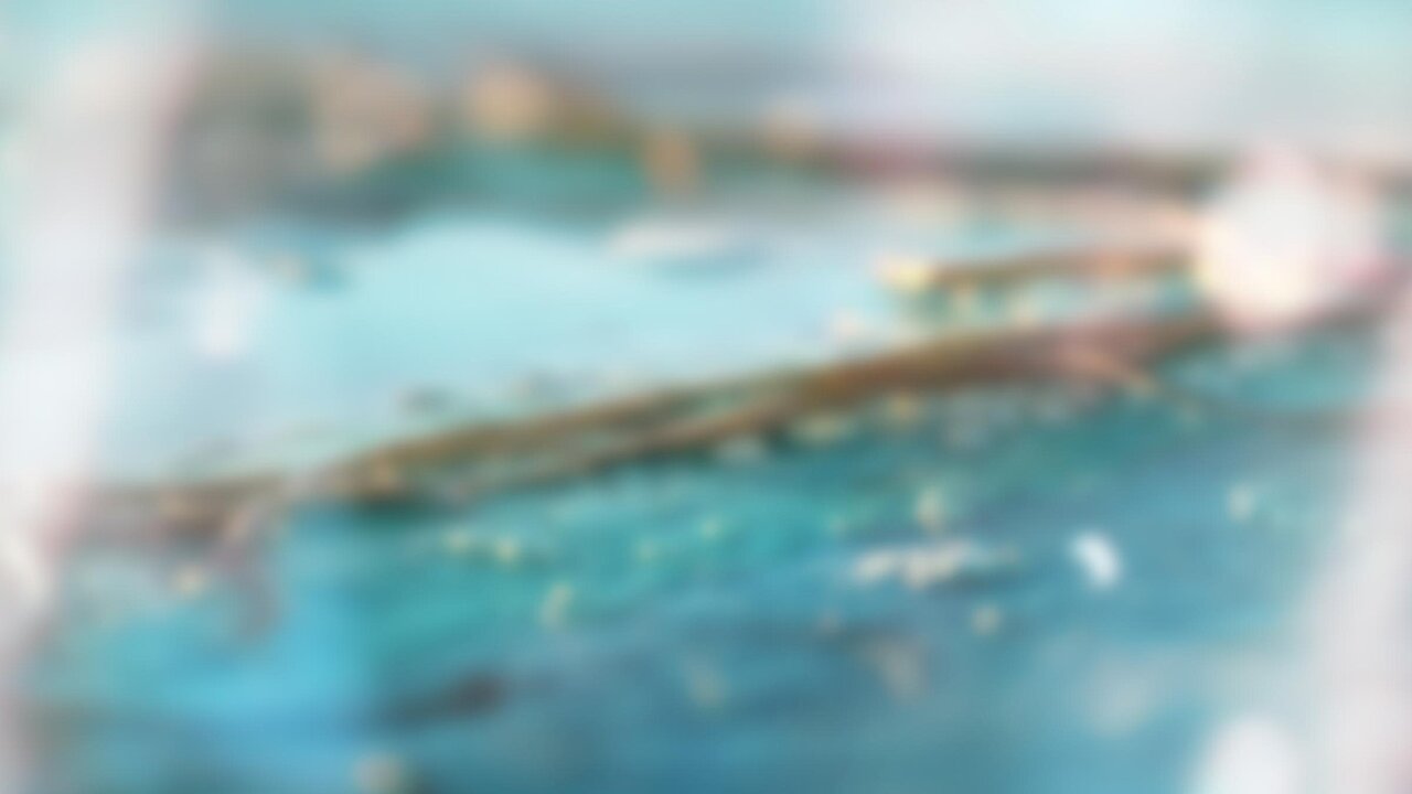 Shamini Jain - Die Kunst der Transformation - Dein Schlüssel zu einem ...