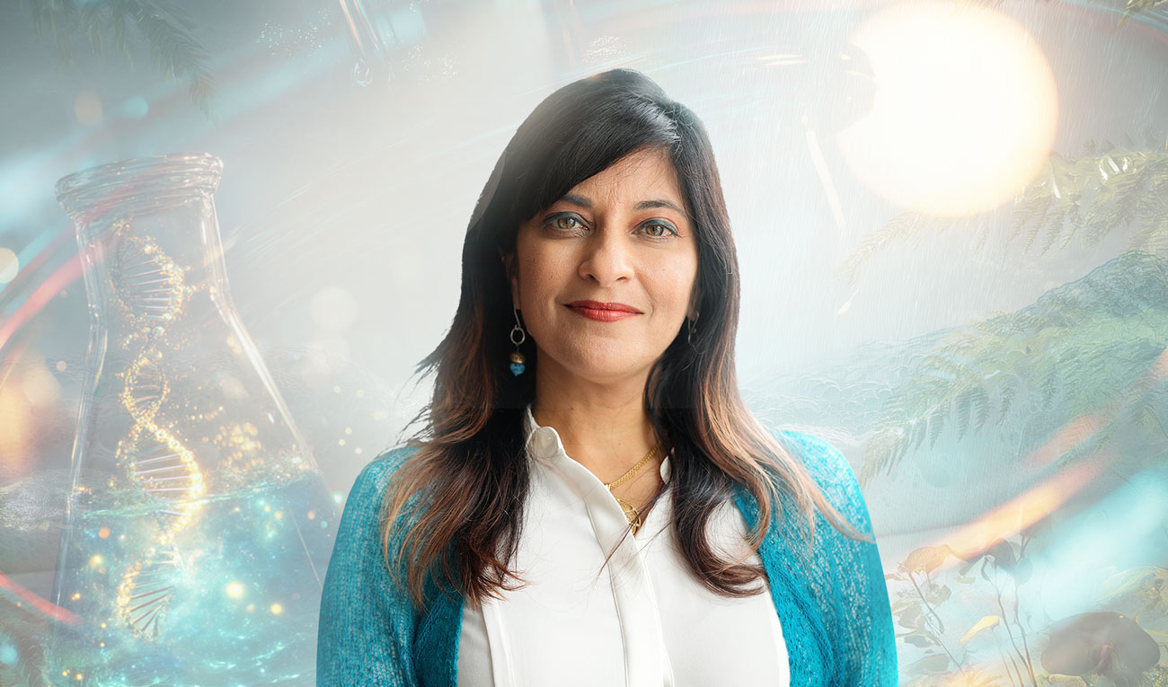 Shamini Jain - Die Kunst der Transformation - Dein Schlüssel zu einem ...